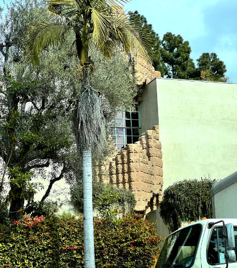 Piecing Together the Mystery of The Black Dahlia with Grave Line Tours ...